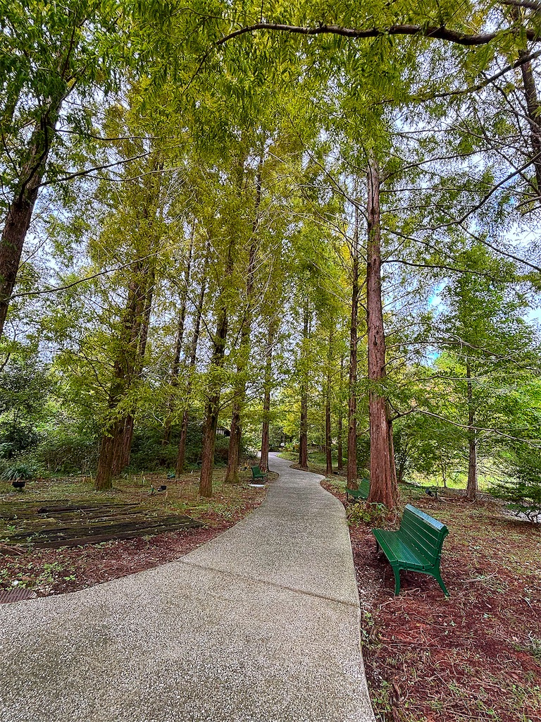 ボルティゲラの庭 - MKママと親爺の『四季つれづれ』