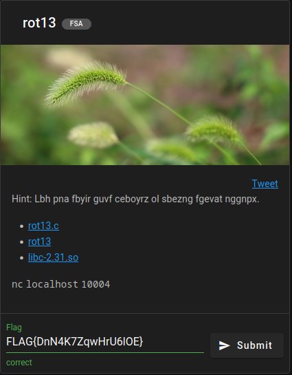 書籍「解題pwnable」の第5章「rot13（書式文字列攻撃）」を読んだ - 土日の勉強ノート