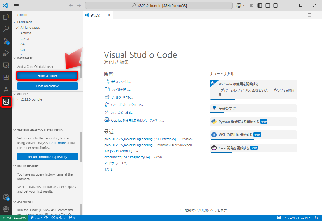 CodeQL（静的解析ツール）をVSCodeで使う方法を理解する - 土日の勉強ノート