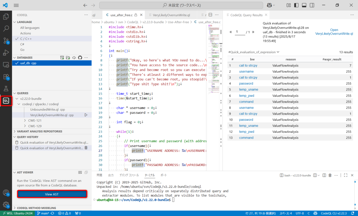 CodeQL（静的解析ツール）をVSCodeで使う方法を理解する - 土日の勉強ノート