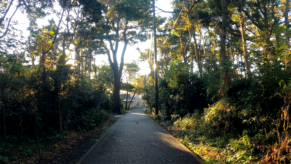 221124はなちゃんと伊豆旅行その4 ～城ヶ崎海岸～ - dango-ryo’s blog