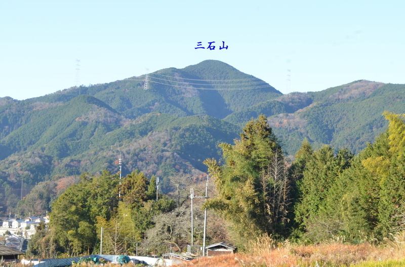 久しぶりの紀見峠へ登る - 団子の草日記