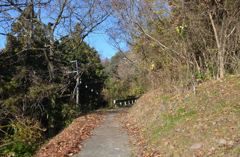 久しぶりの紀見峠へ登る - 団子の草日記