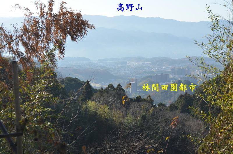 久しぶりの紀見峠へ登る - 団子の草日記