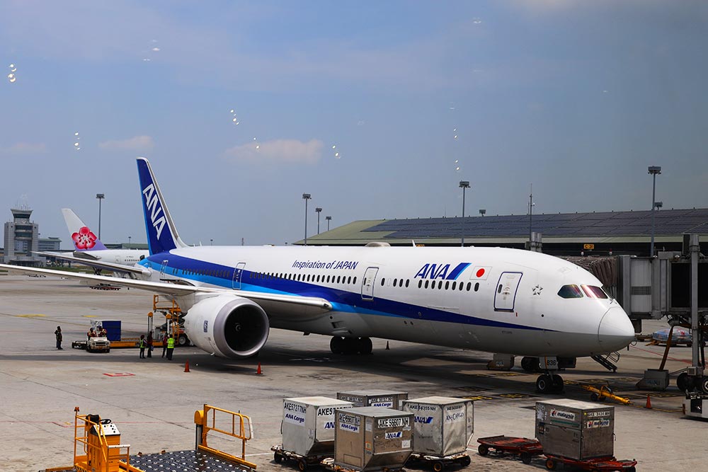 ANAビジネスクラス搭乗記 平成最後のマイル修行 - 弾丸トラベルは怖くない!