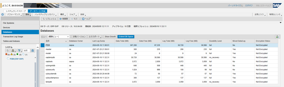 SAP ASEのDB拡張 - SAP*とDDICどっちが必要？