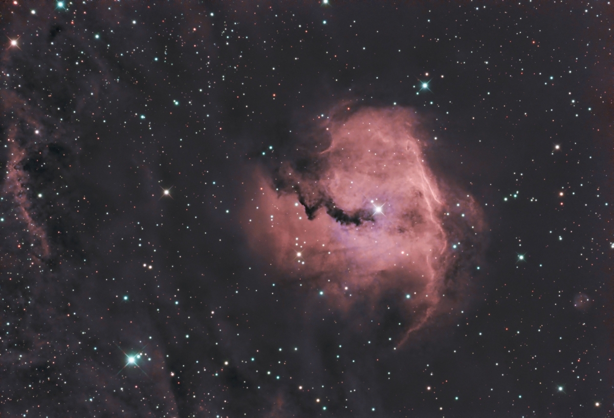 カモメの頭sh2-292 - 楽しい記憶