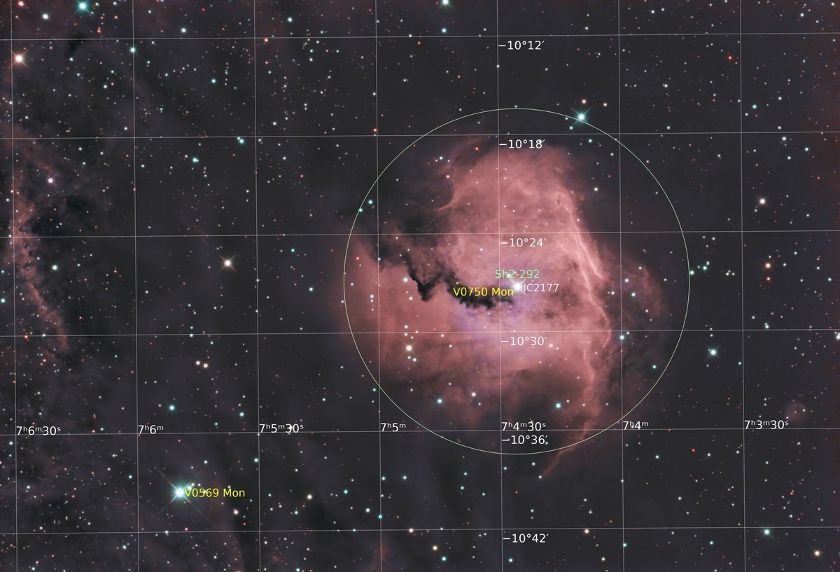 カモメの頭sh2-292 - 楽しい記憶