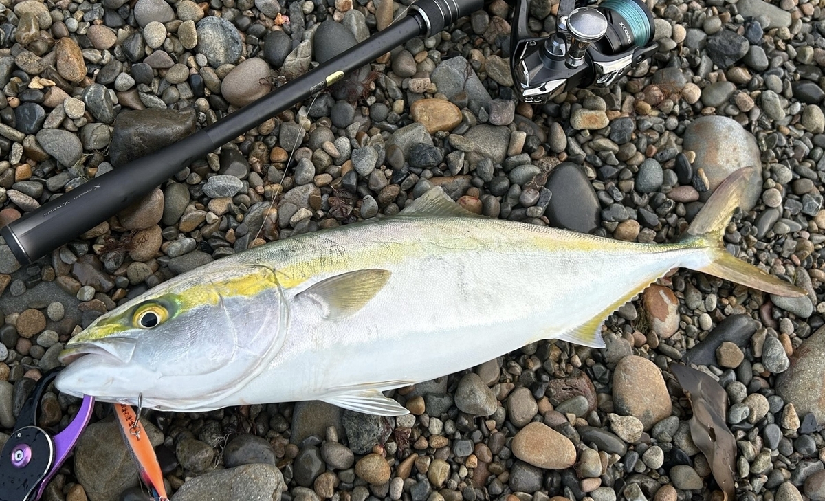 Seabondsのフィッシュグリップをシーバス用に買ってみたけどめっちゃ良い - じーあーるえす184