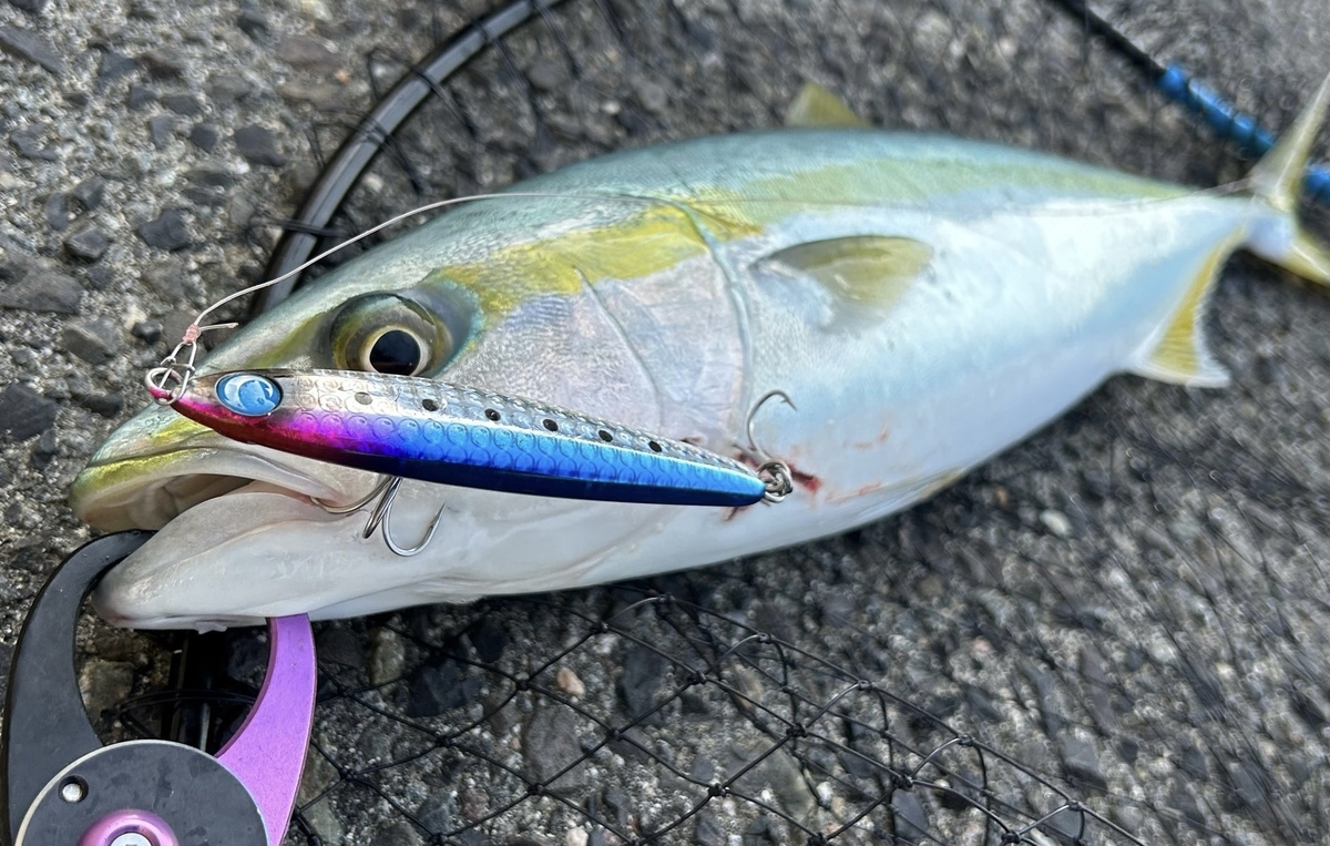 Seabondsのフィッシュグリップをシーバス用に買ってみたけどめっちゃ良い - じーあーるえす184