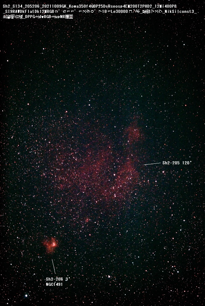 92．Sh2-205,206、Sh2-(221),217,219 - dondonpeaceの日記