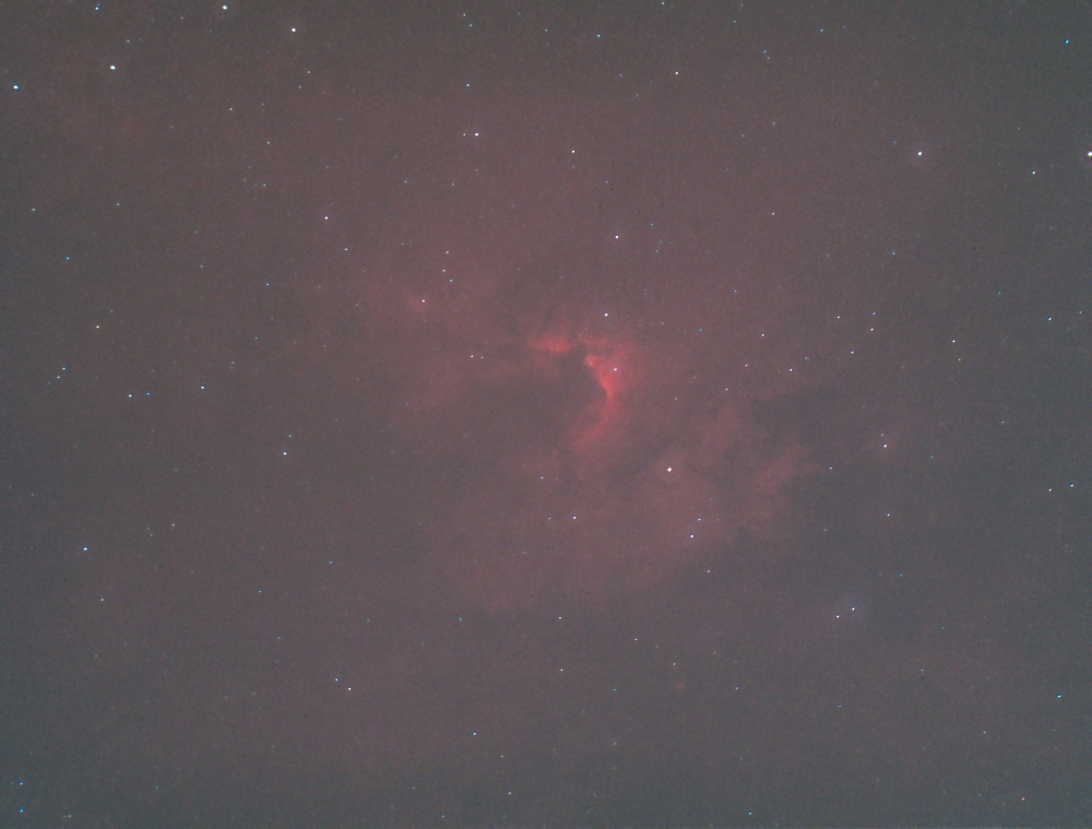 dondonpeaceの日記