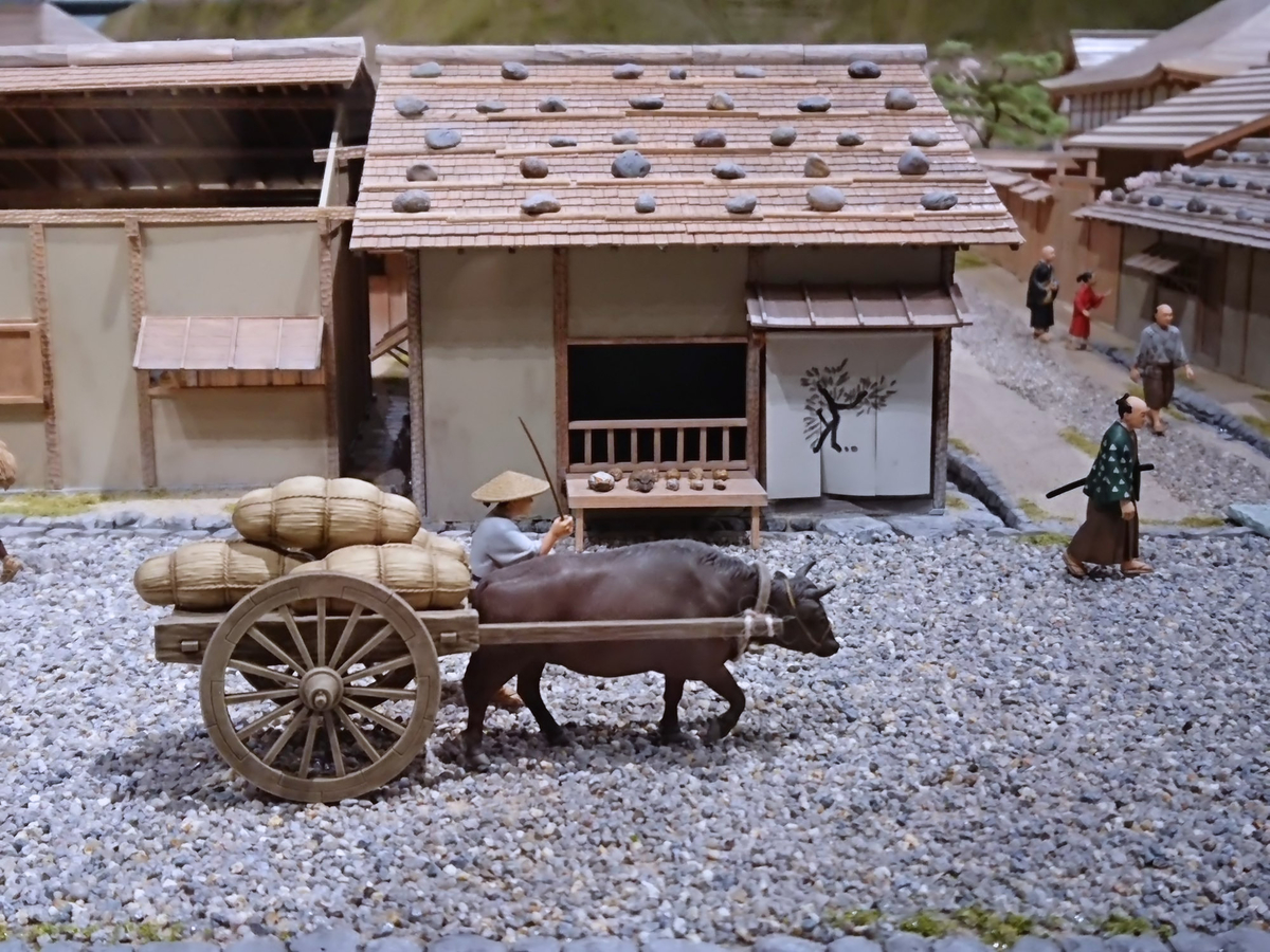 朝倉氏遺跡博物館 人々の暮らし1 - よもやま話