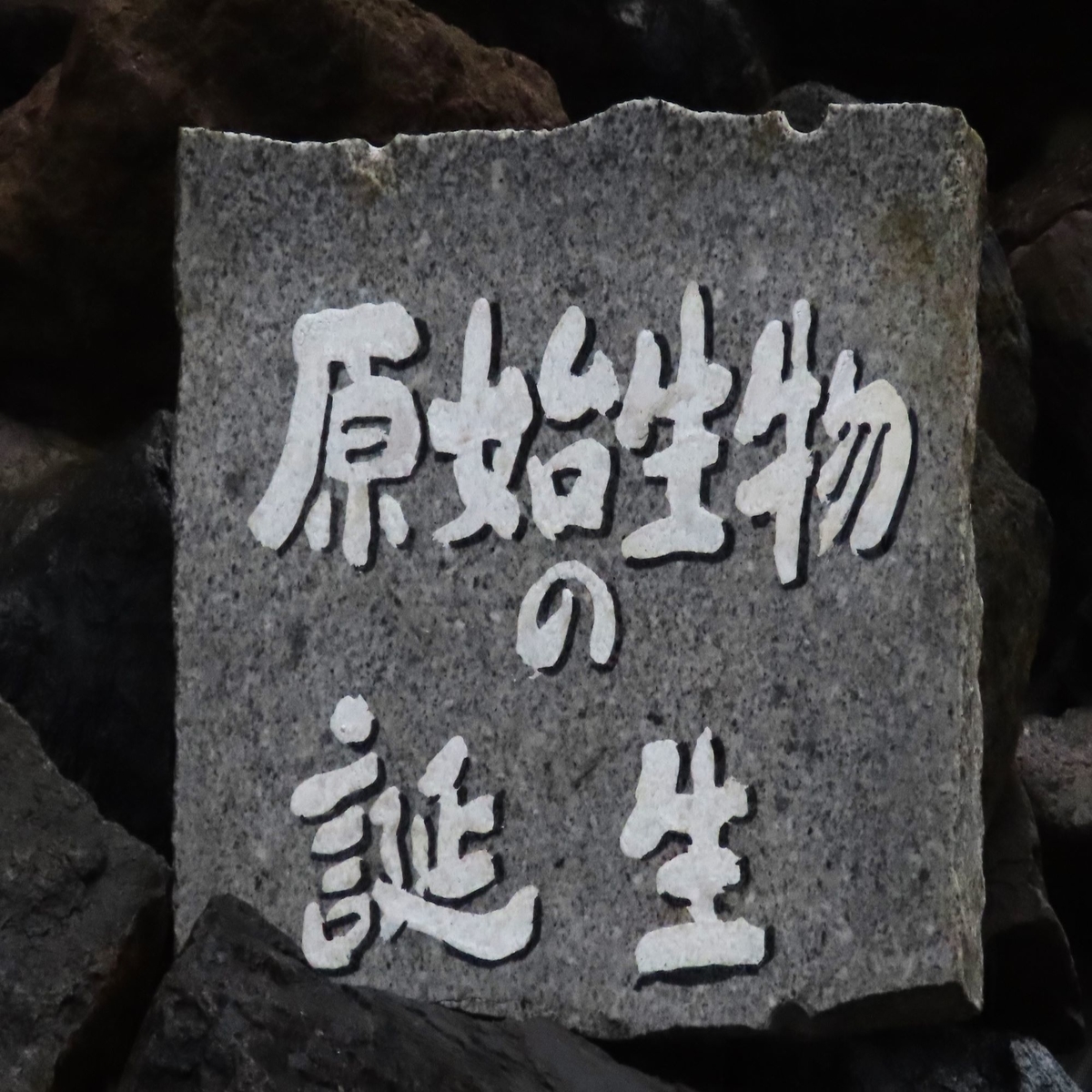 46億年地球の道 - よもやま話