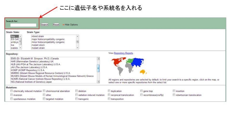 IMSR（International Mouse Strain Resource）を使って欲しいマウスを手に入れる その壱 - 動物学特論