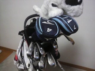 長女のフェアウェイウッド - なーんてことない日々のブログ