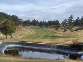 第3回RinRin杯 - なーんてことない日々のブログ