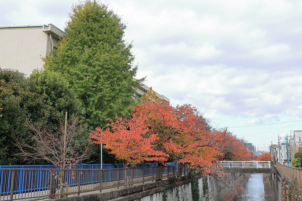 雪谷散歩（大田区） - dragon7288の日記