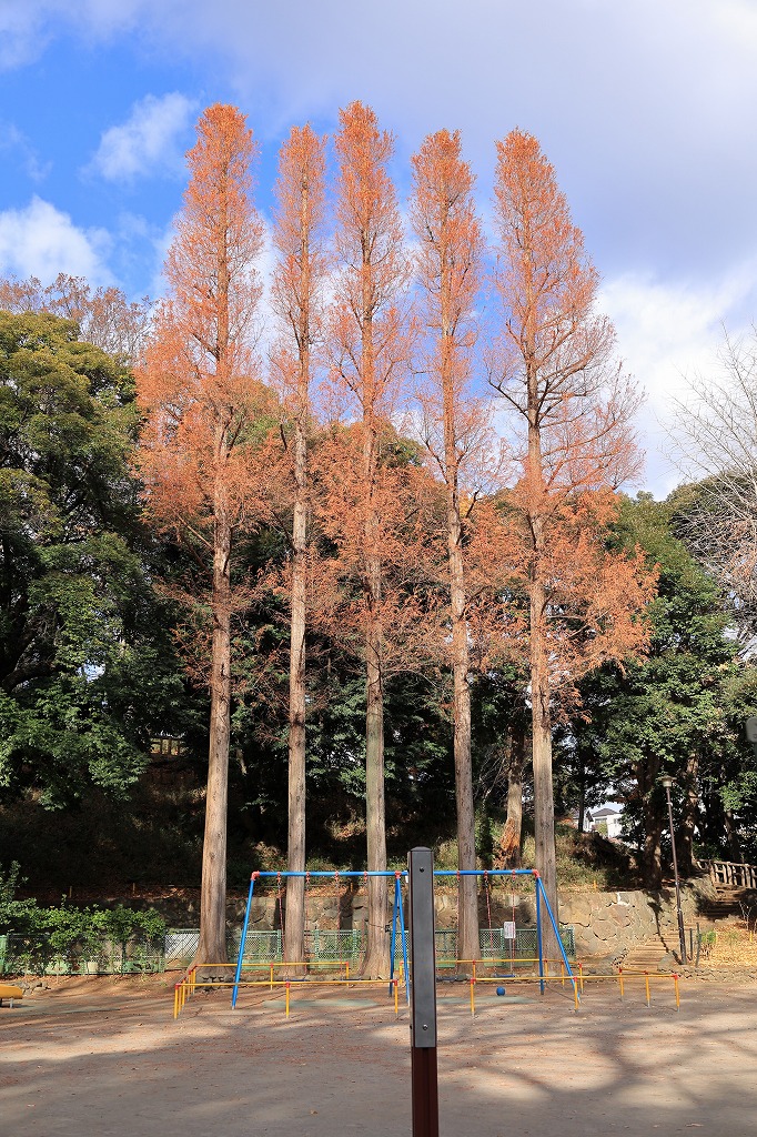 本門寺公園（大田区） - dragon7288の日記