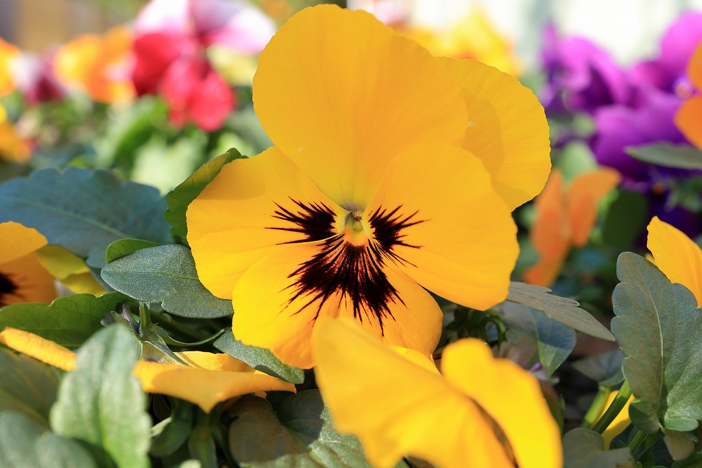 東玉川第2児童遊園（世田谷区） - dragon7288の日記