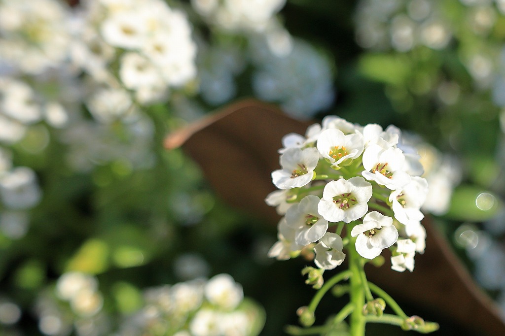 東玉川第2児童遊園（世田谷区） - dragon7288の日記