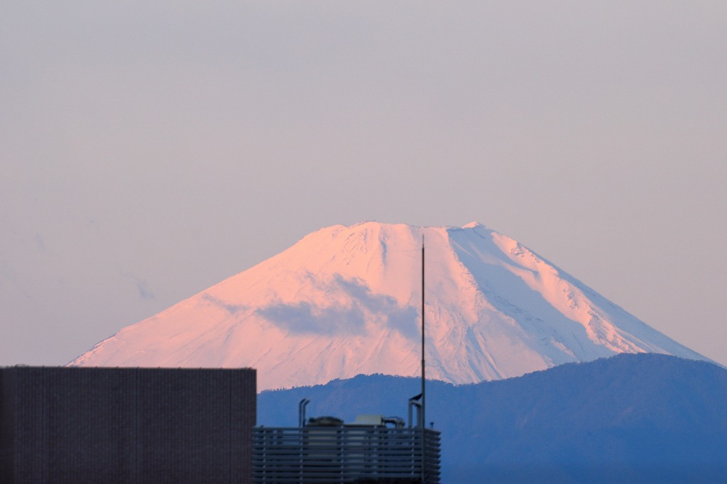 今年も近所の神社に初詣 - dragon7288の日記