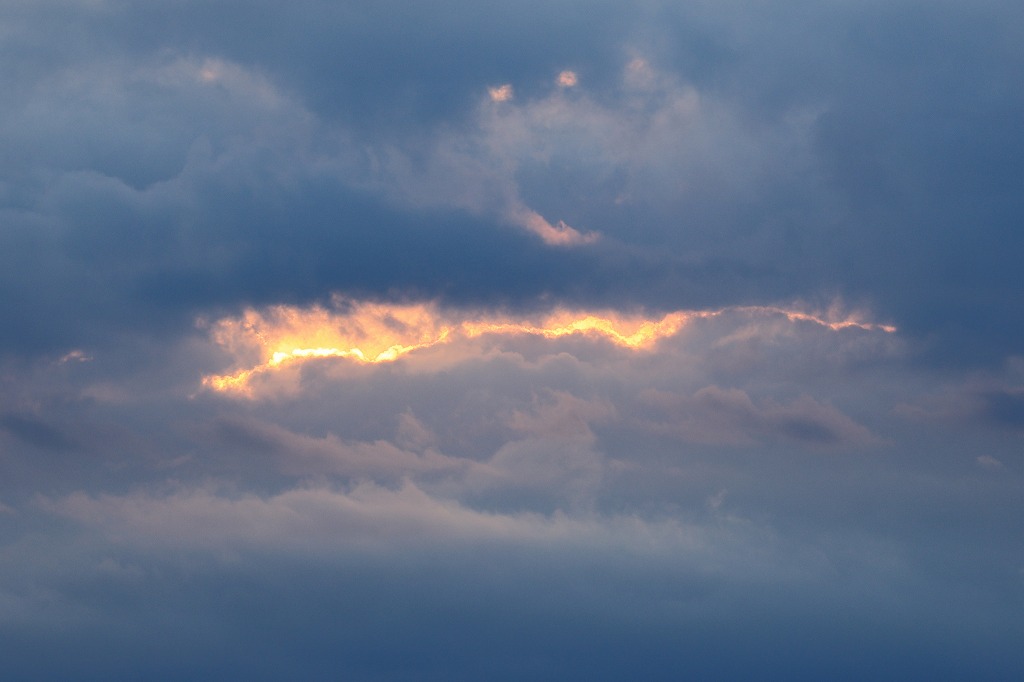 今年も近所の神社に初詣 - dragon7288の日記