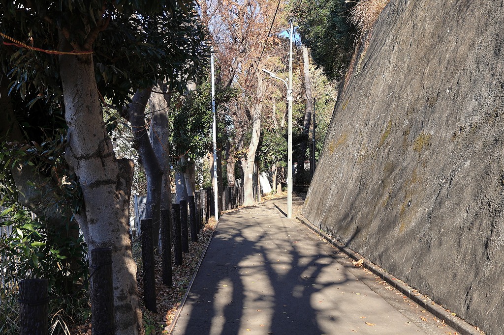 石川神社（大田区） - dragon7288の日記