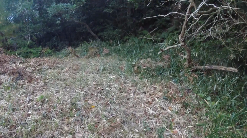 今季初猟に出てきました - Style by dreadnote