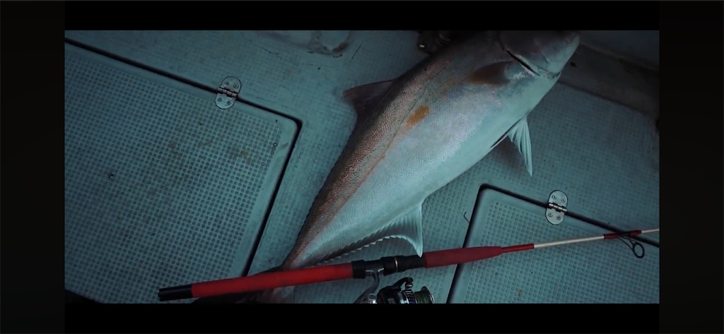 死闘！メーター10キロオーバーカンパチ！ - Style by dreadnote