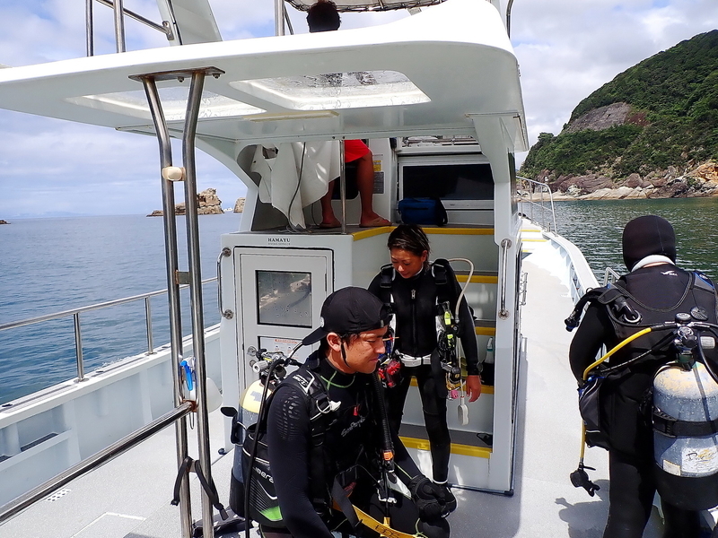 雲見 デュークダイビングサービス海ログ ＃透視度&水温アップ💖 - 雲見 DDSデュークダイビングサービス 海ログ