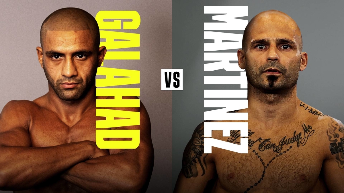 ショートレビュー ガラハド-マルティネス - Surface