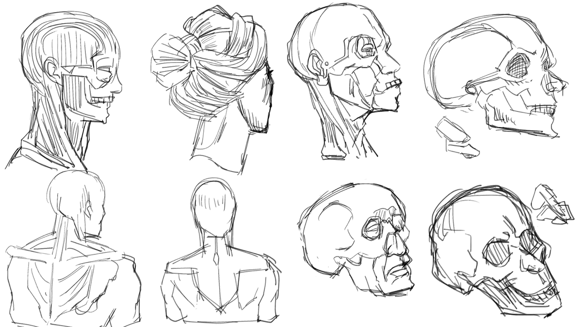 モルフォ人体デッサンで頭の模写練習した。 - 絵が上手くなりたいブログ