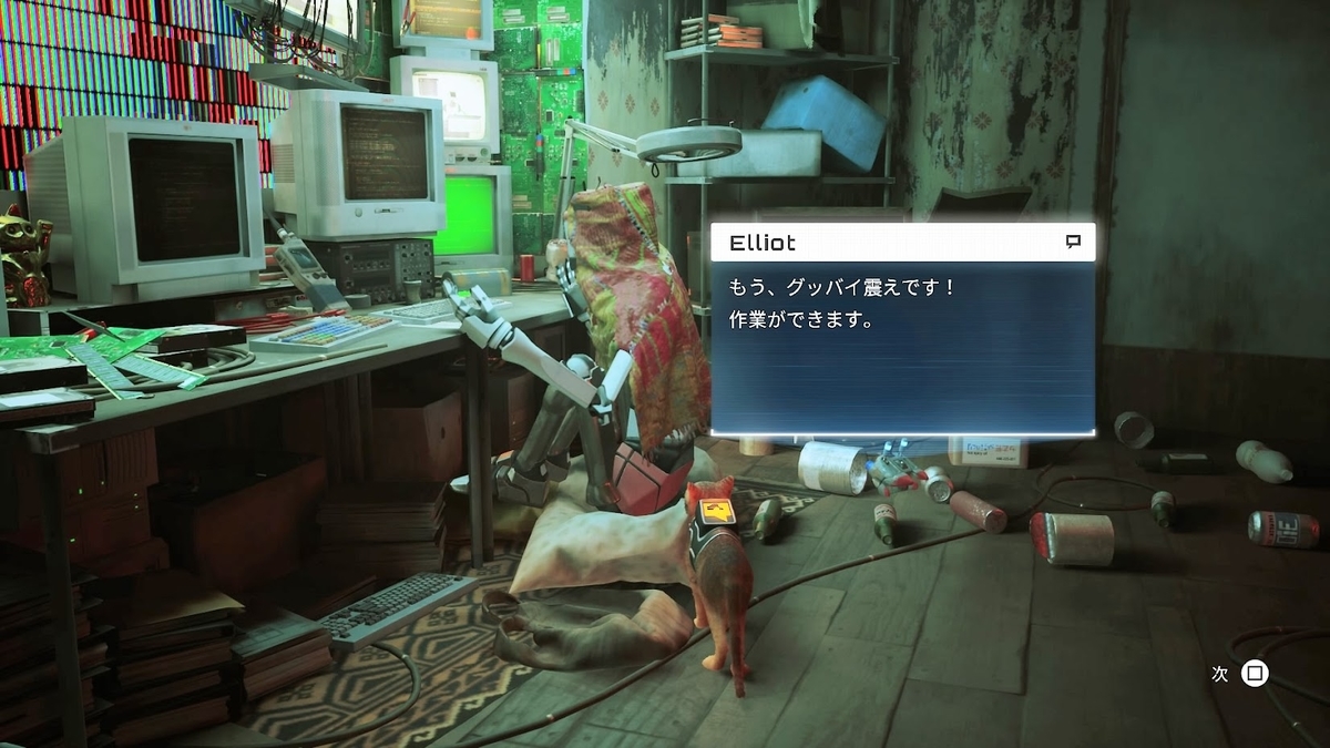 個別「20221229174042」の写真、画像 - Stray - e-poko's fotolife