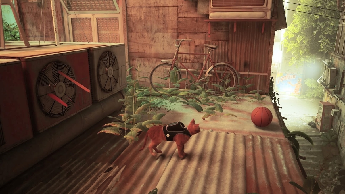 個別「20230124084725」の写真、画像 - Stray - e-poko's fotolife