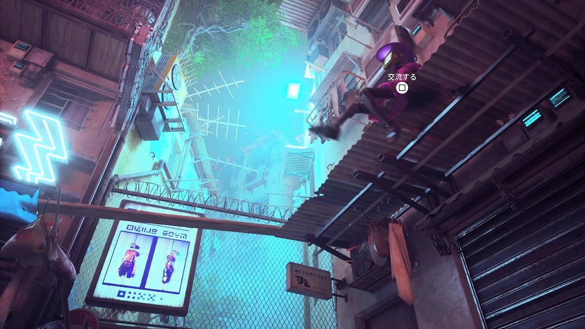 個別「20230209111232」の写真、画像 - Stray - e-poko's fotolife