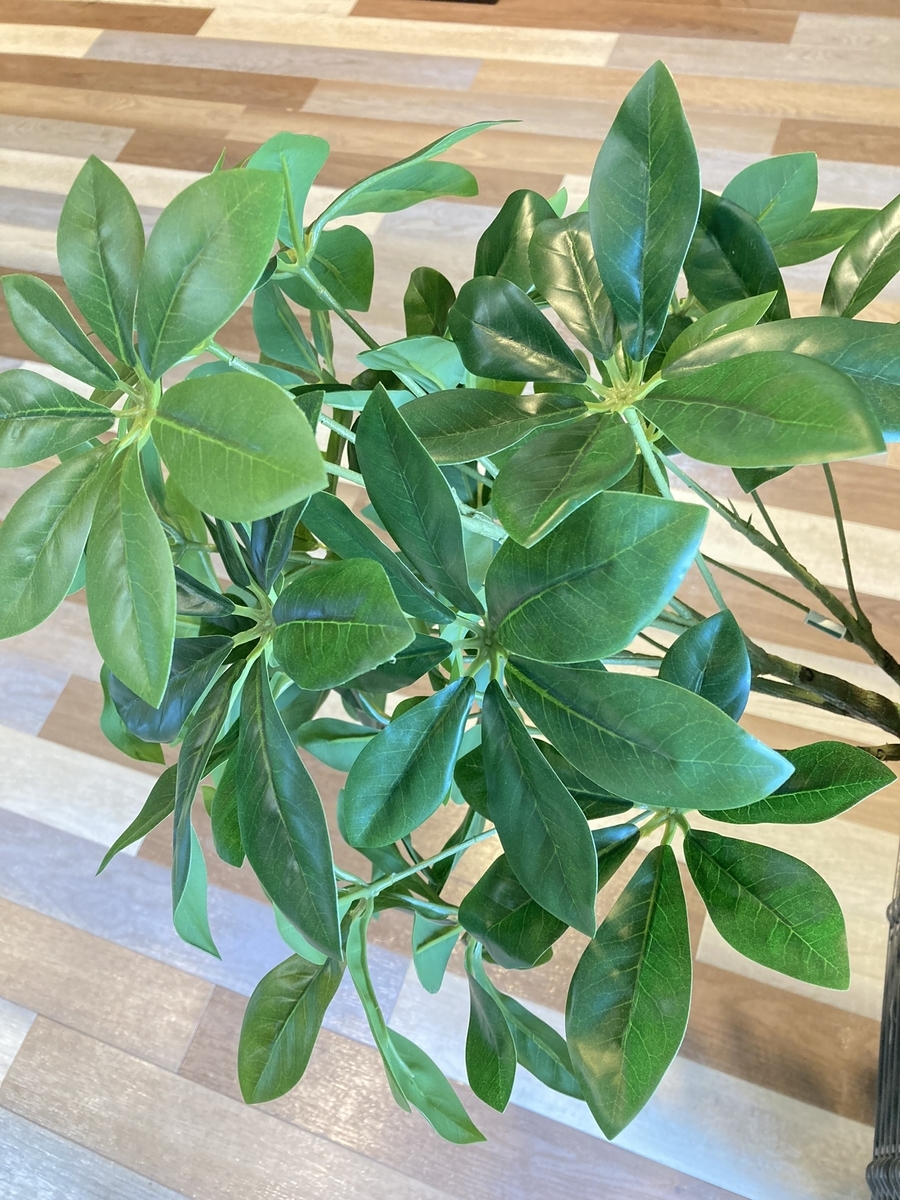 《flent B1》2023年新商品！高さを3通り変えられる！？観葉ポットのご紹介🌳 - CFL Storeブログ