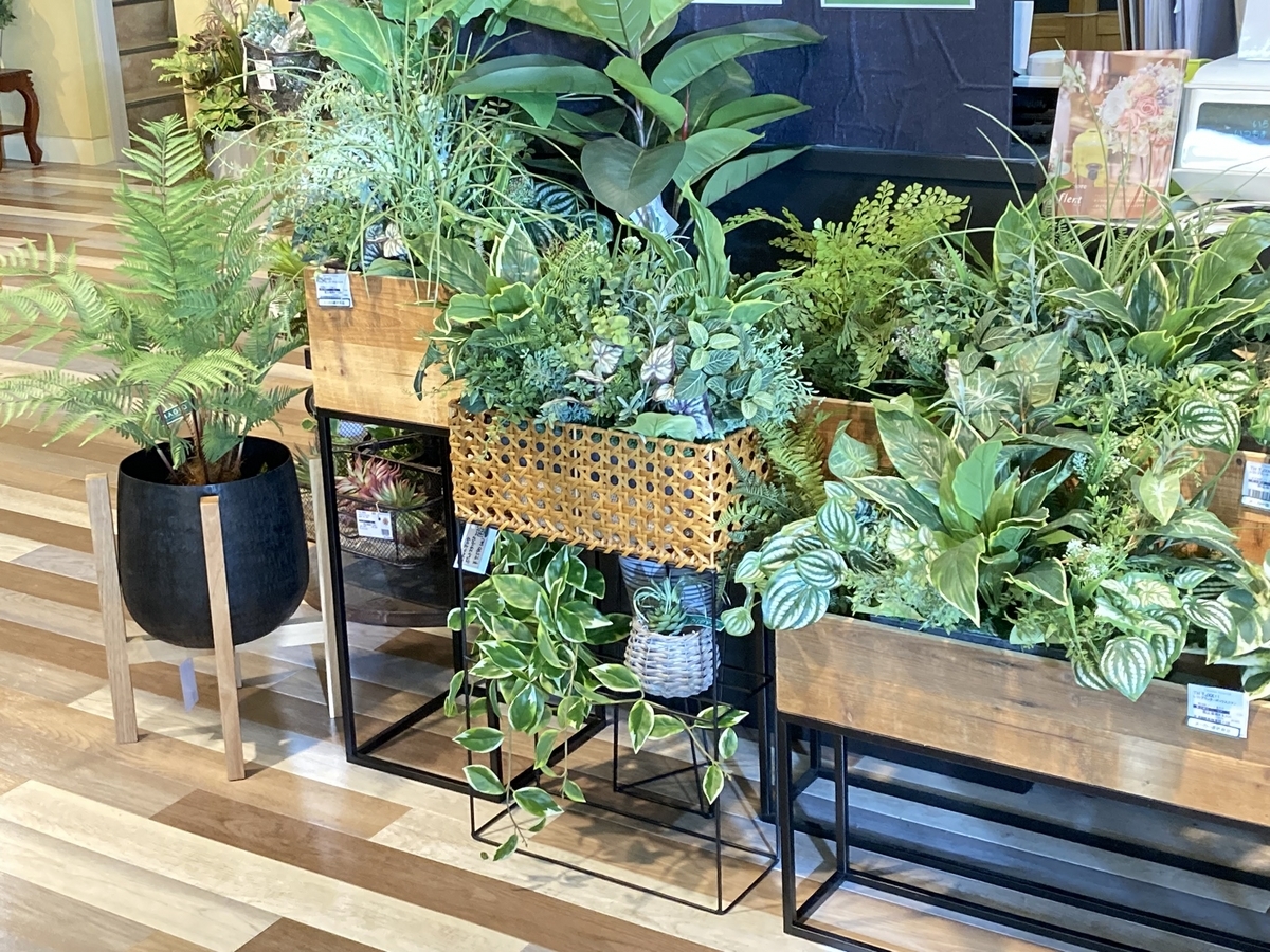 《flent B1》2023年新商品！高さを3通り変えられる！？観葉ポットのご紹介🌳 - CFL Storeブログ