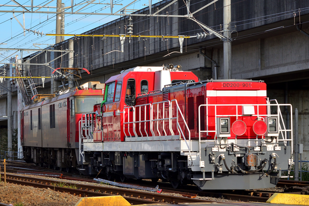DD200-901 来仙 - "N" Train pictures