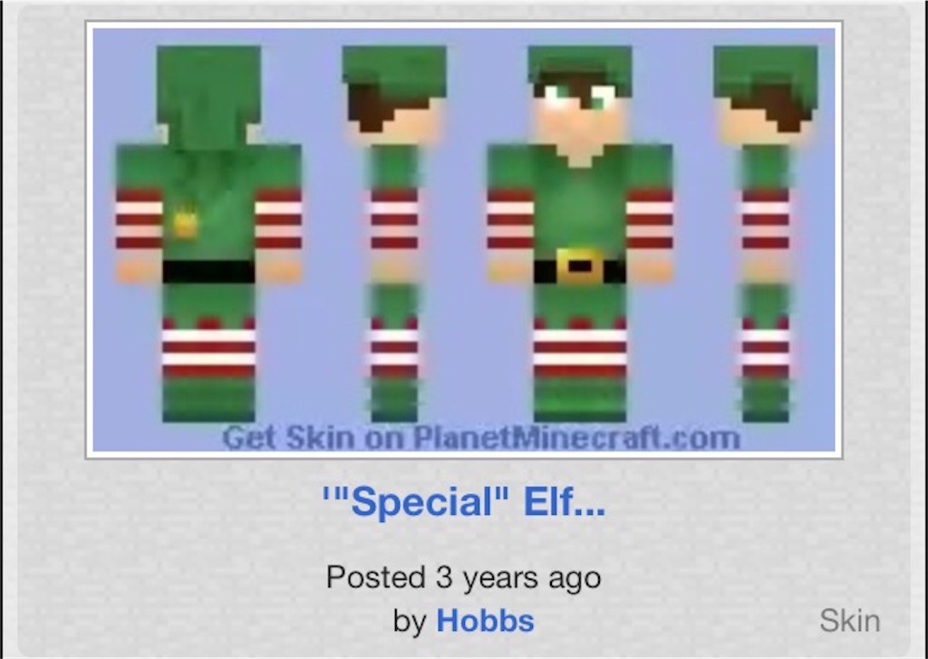 【MineCraft】「The Derp〜あなたの知らない馬鹿なスキン&Derpなクリスマススキン〜」 - モブトエキストラ