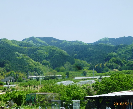 個別「20160501121319」の写真、画像 - eco-tsu-station's fotolife