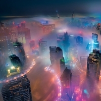 [ecrn award 2022] Toshi