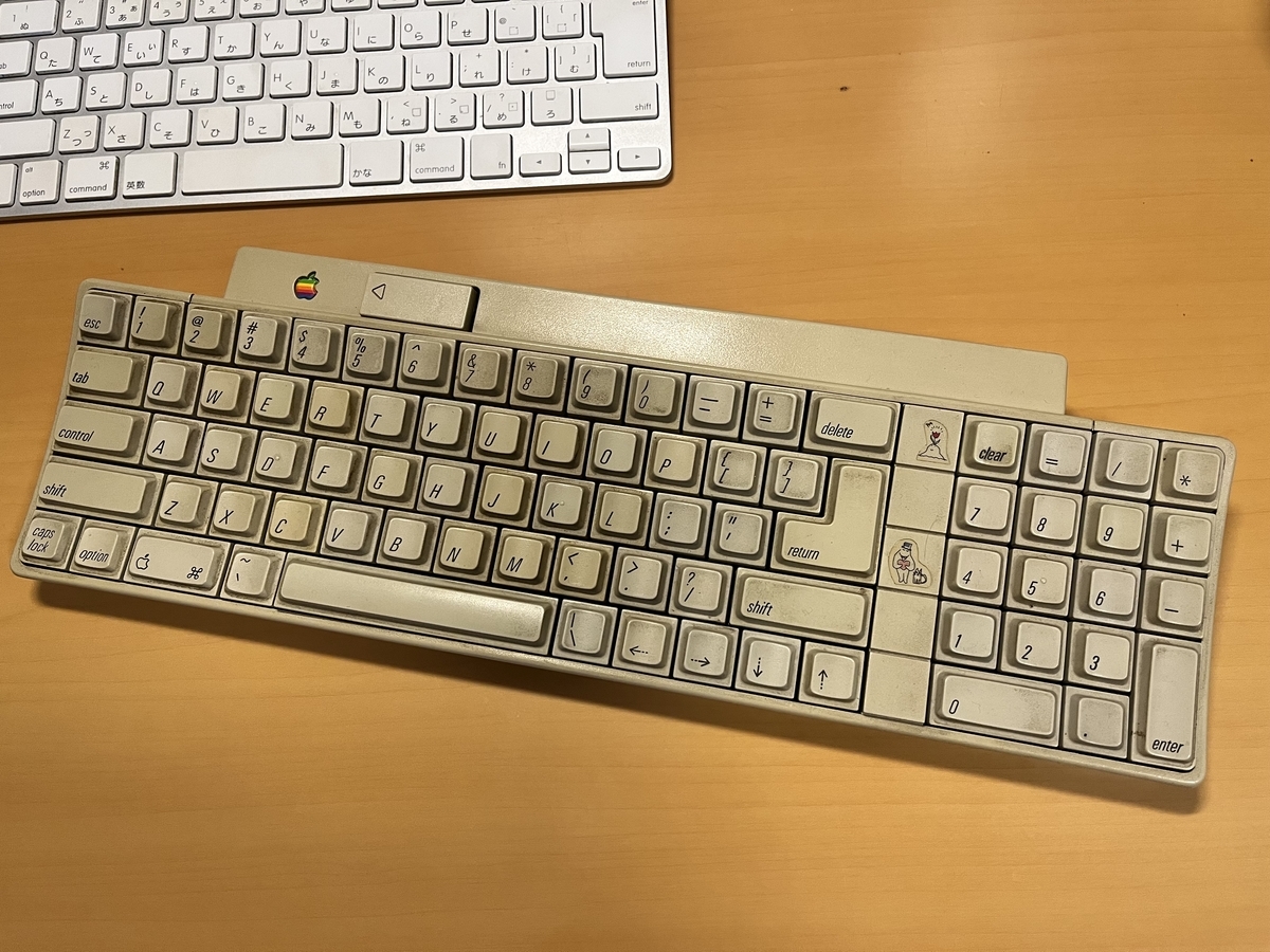 懐かしいもの - 枝葉に心血