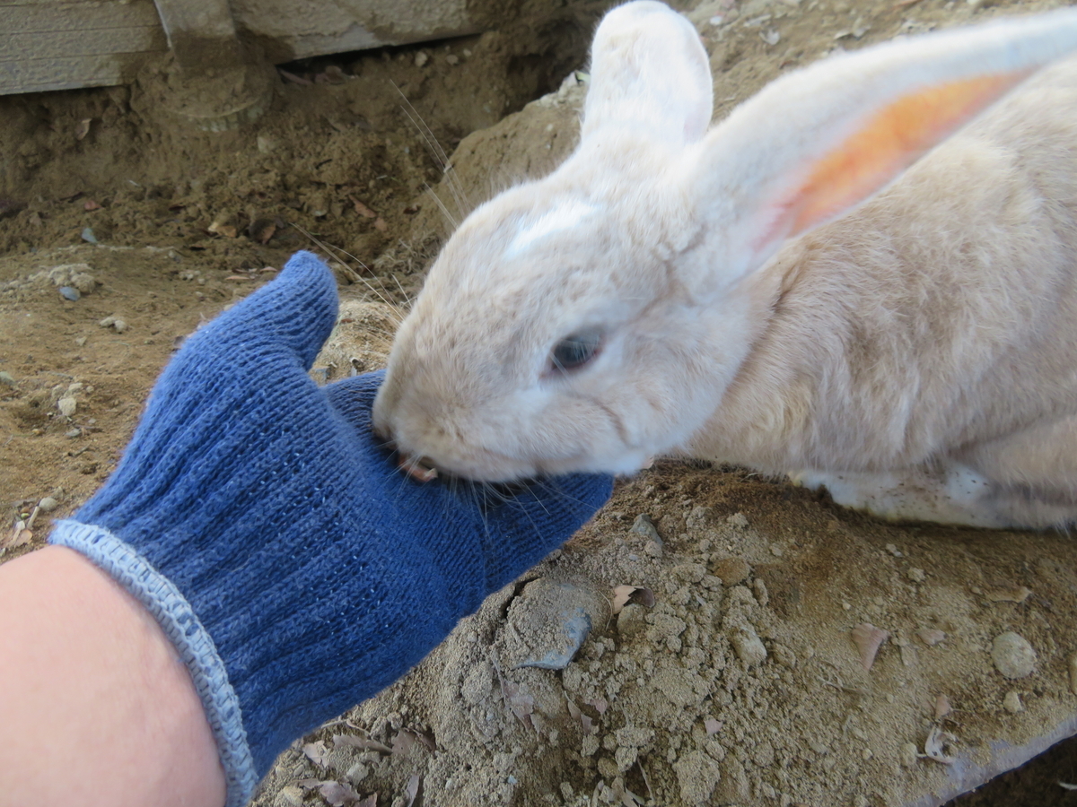 えぃじーちゃんのぶらり旅ブログ石川県加賀(かが)市20231024(No756) - eiji-chan’s blog