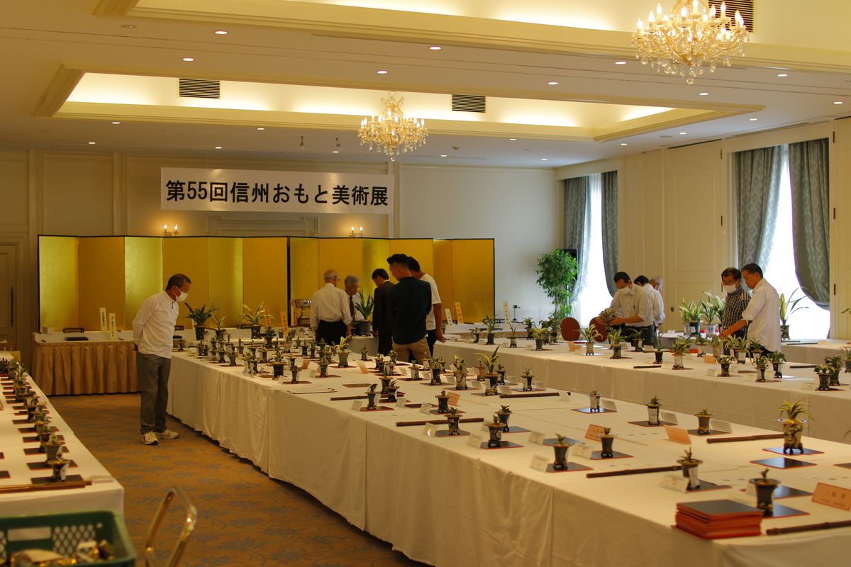 Omoto Japanese Proud Traditional Ornamental Plants - engei japan