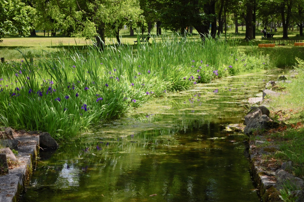 公園 - 記憶の彼方へ