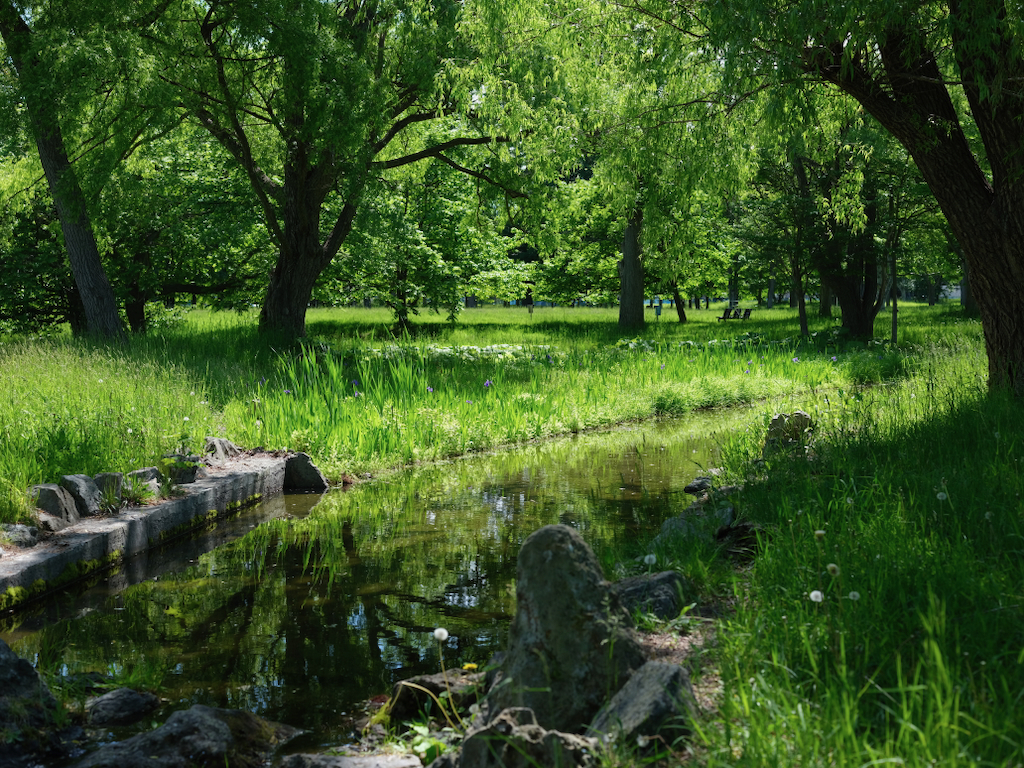 池辺 - 記憶の彼方へ
