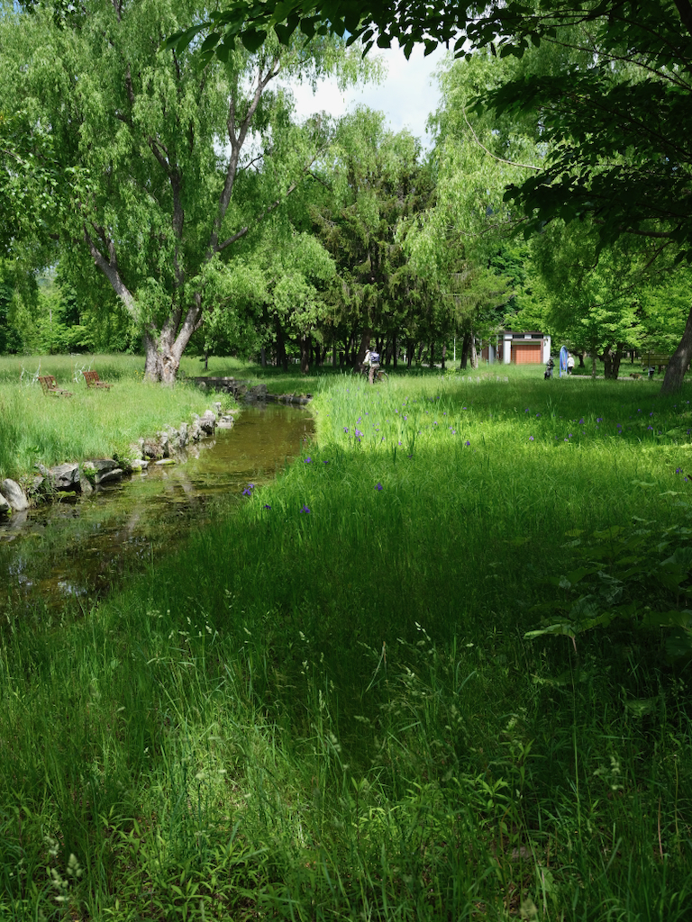 池辺 - 記憶の彼方へ