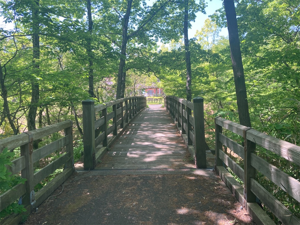 地元の公園 - 30代 暮らしのつぶやき時々、絵