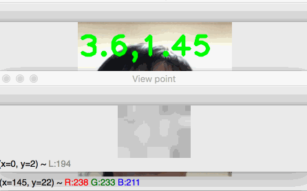 OpenCVとWebカメラで撮った画像をリアルタイムでChainerのDNNに突っ込んだ話 - EnsekiTT Blog